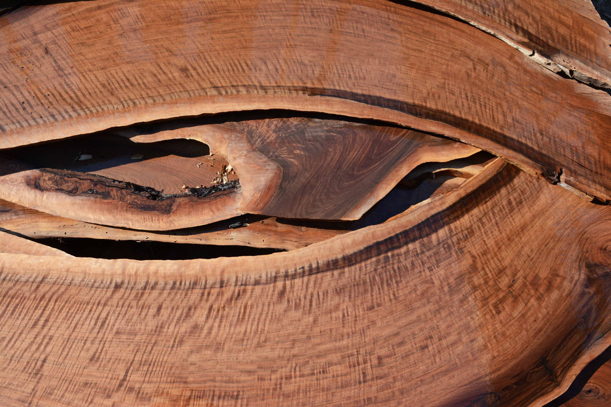 Figured Flitch Cut Walnut | Talarico Hardwoods