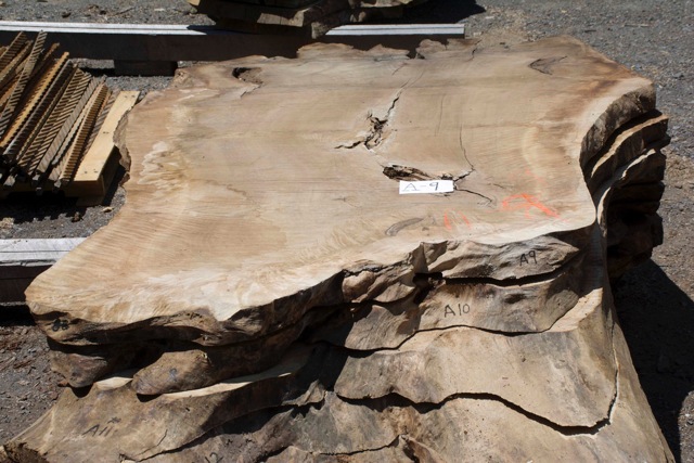 Eng Walnut Crotch & Root Ball Flitches | Talarico Hardwoods