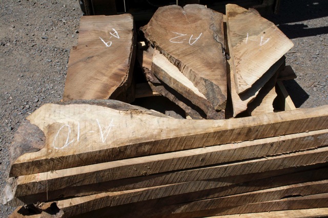 Eng Walnut Crotch & Root Ball Flitches | Talarico Hardwoods