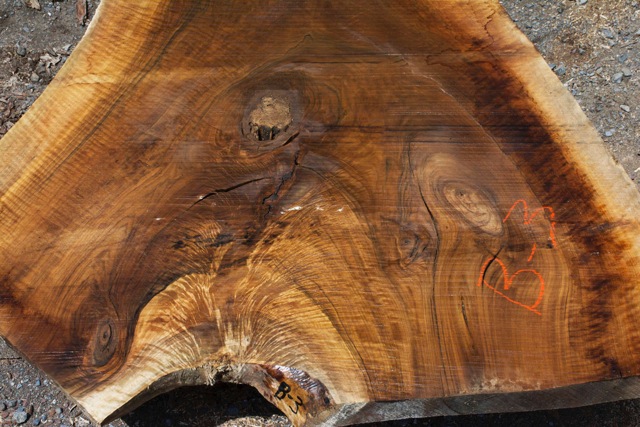 Eng Walnut Crotch & Root Ball Flitches | Talarico Hardwoods
