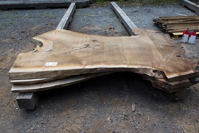 Eng Walnut Crotch & Root Ball Flitches | Talarico Hardwoods