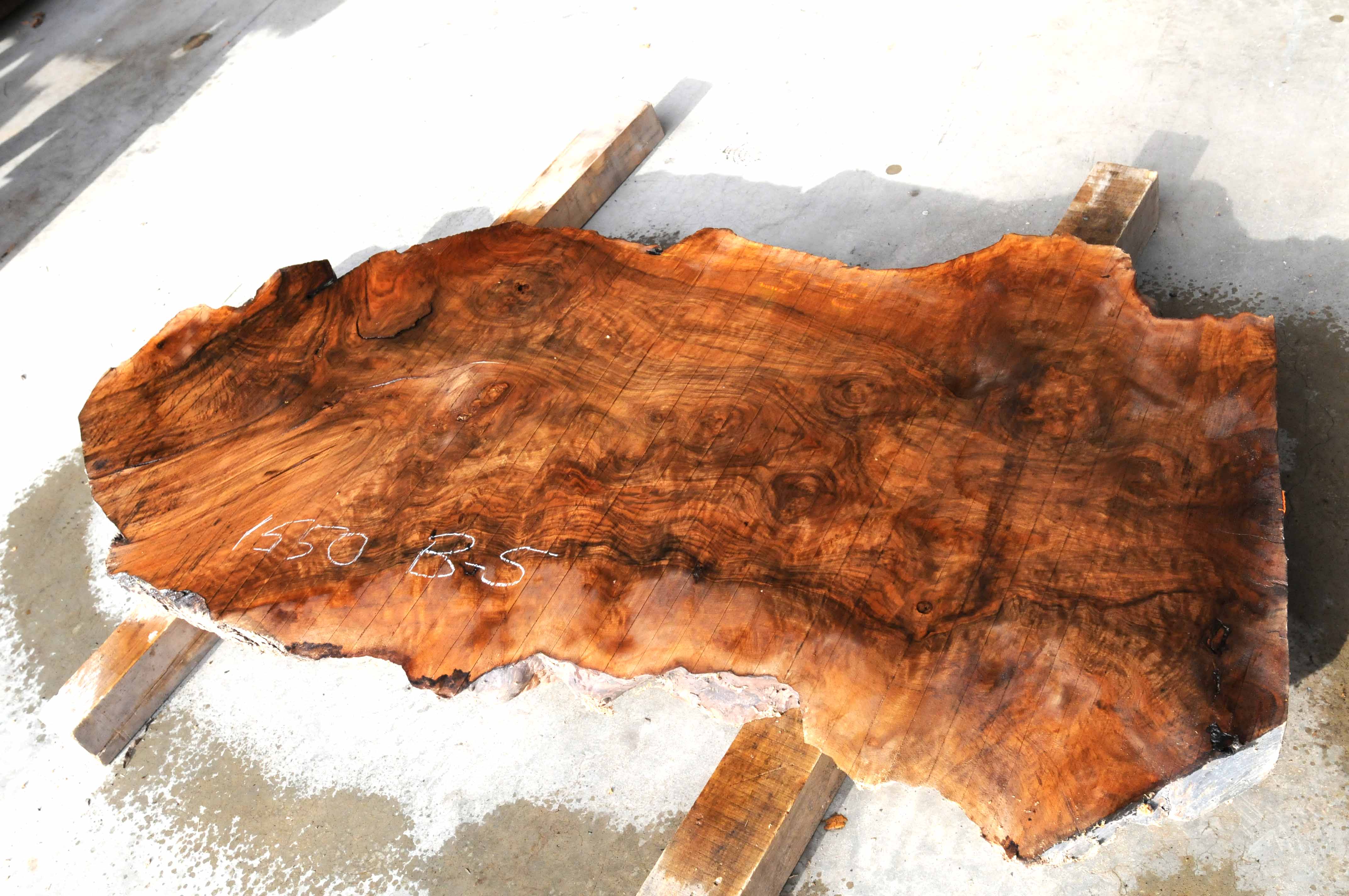 Circassian Walnut Burl | Talarico Hardwoods