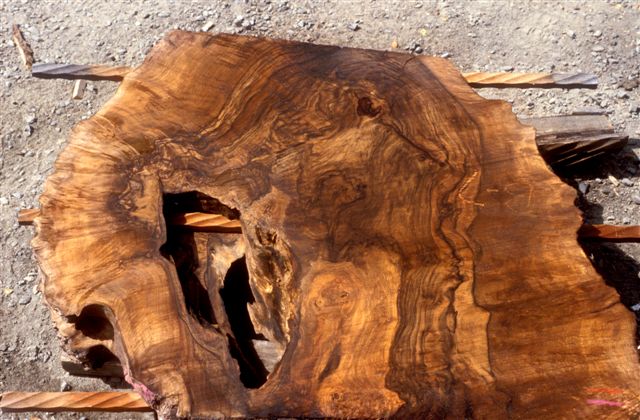 Circassian Walnut Burl | Talarico Hardwoods