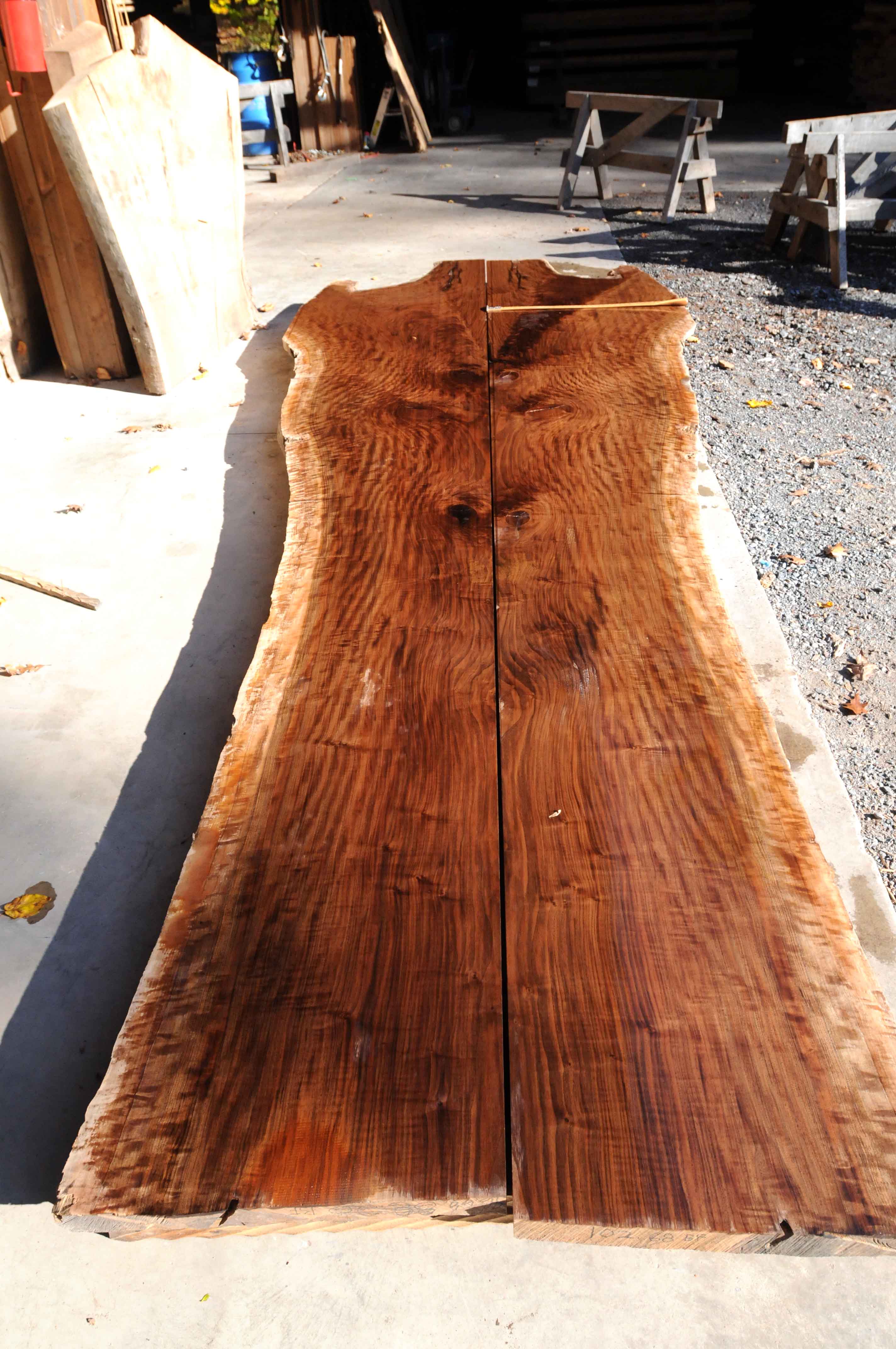 Curly English Walnut Butt Log | Talarico Hardwoods