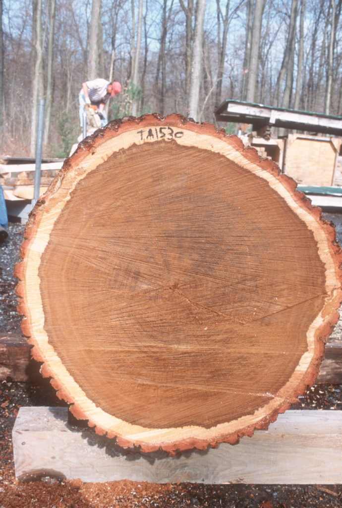 English Brown Oak | Talarico Hardwoods