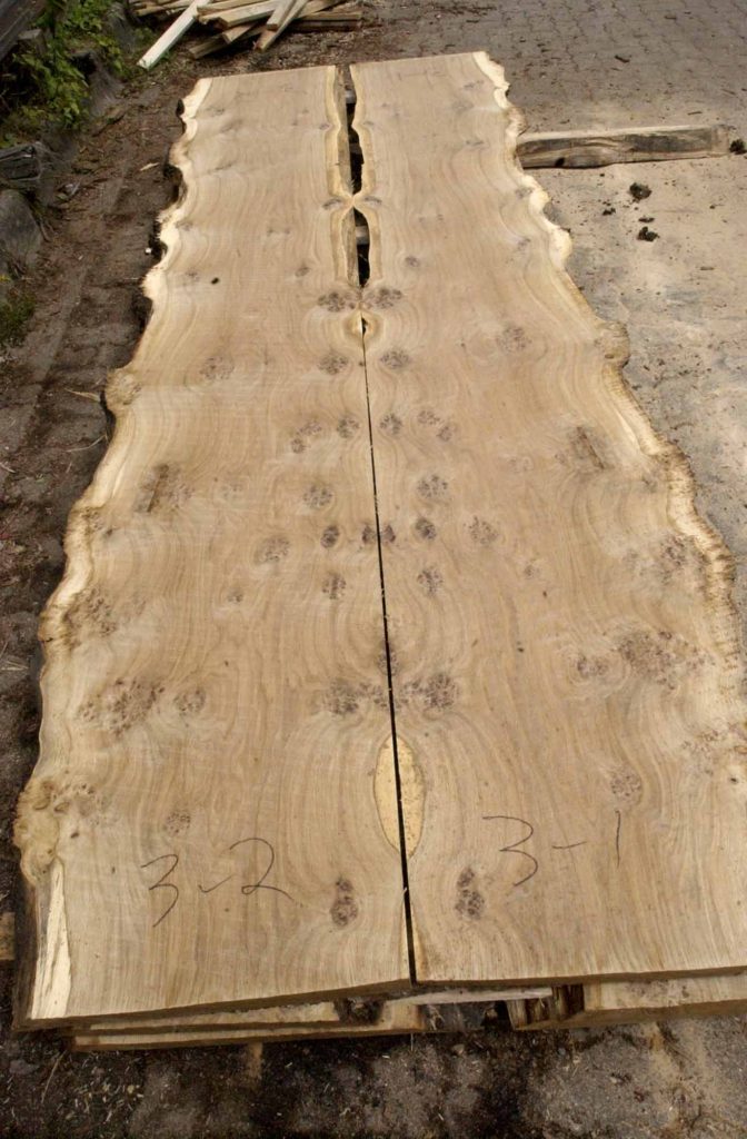 Scottish Pippy Oak | Talarico Hardwoods