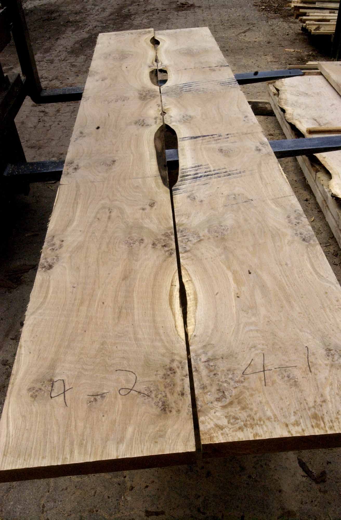 Scottish Pippy Oak | Talarico Hardwoods