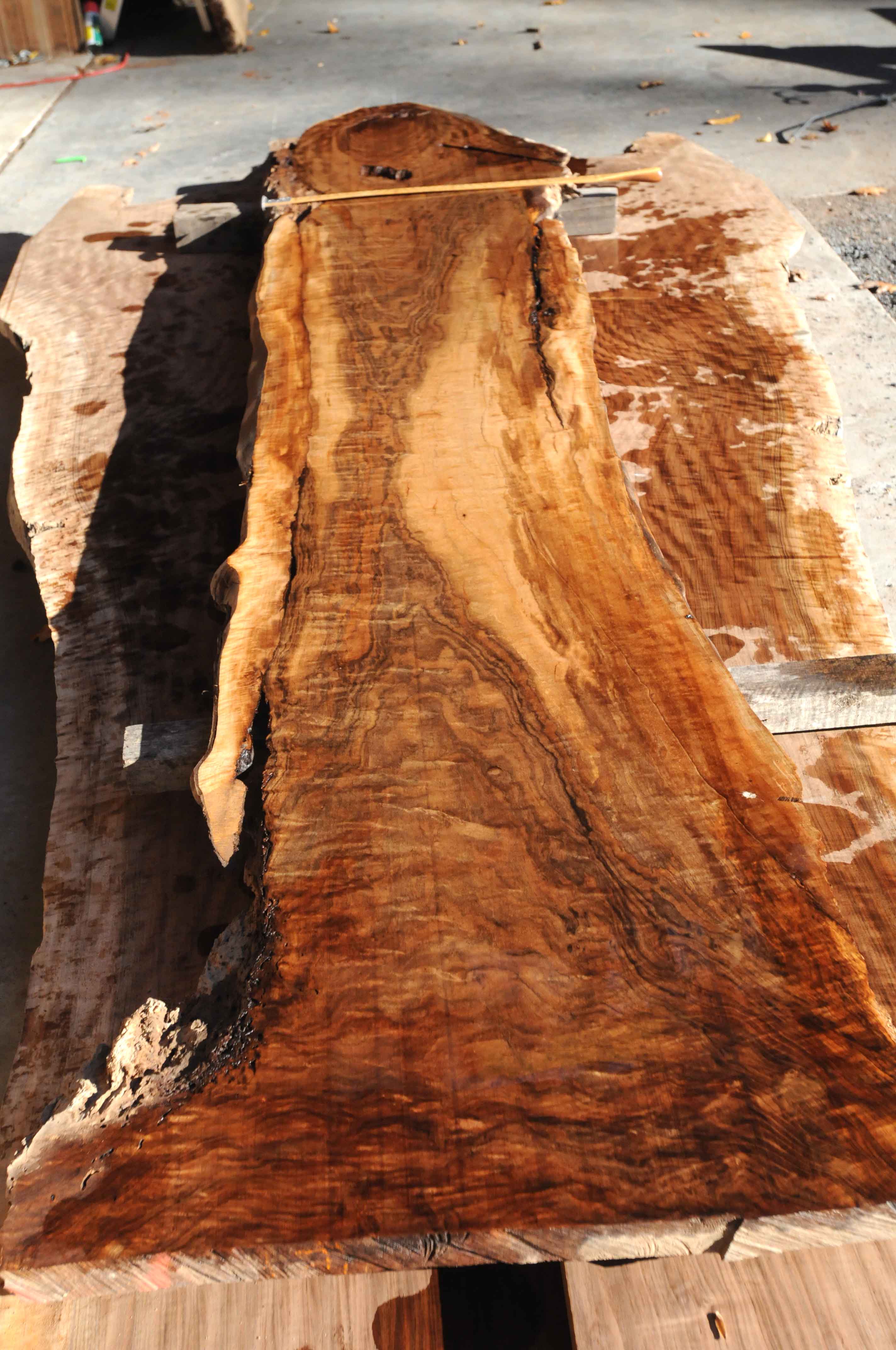 SINGLE PIECE CURLY ENGLISH WALNUT | Talarico Hardwoods