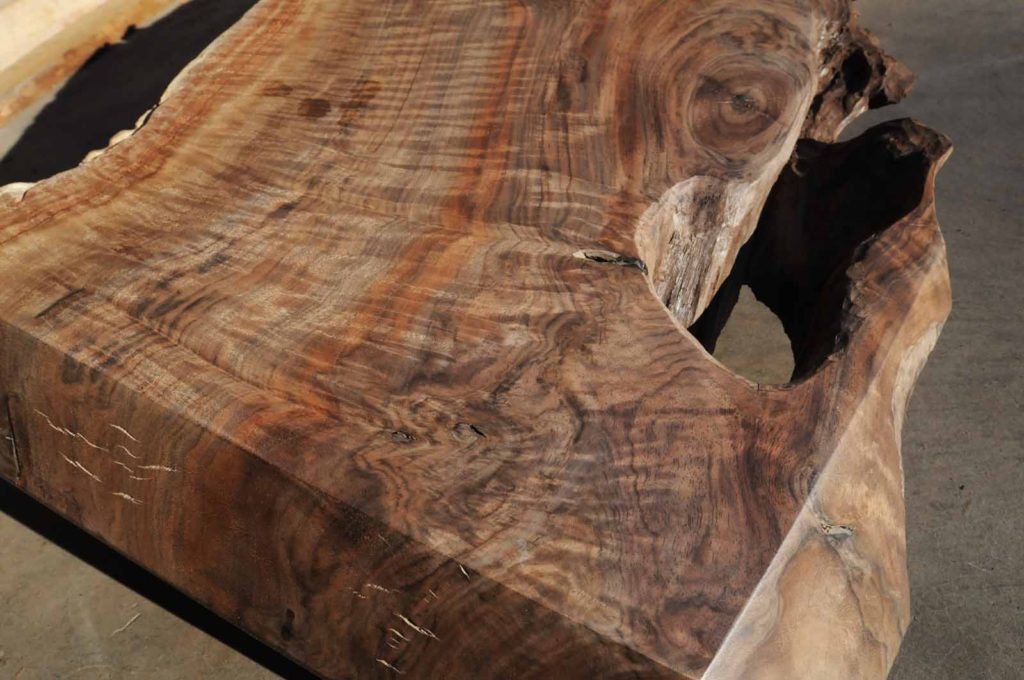 Curly English Walnut Root | Talarico Hardwoods