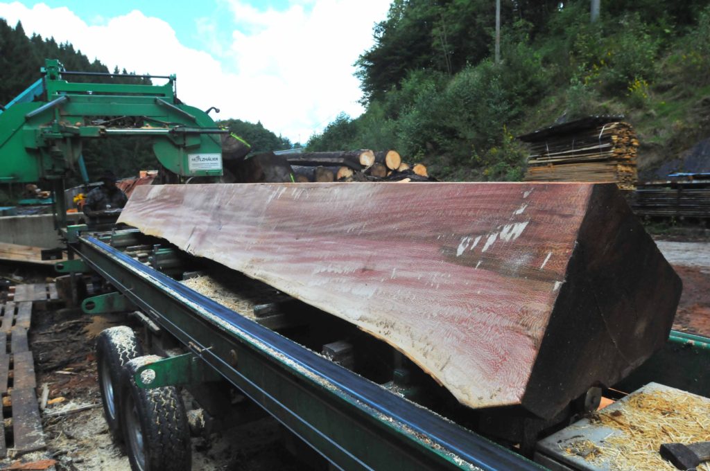 London Plane Tree – Lacewood | Talarico Hardwoods