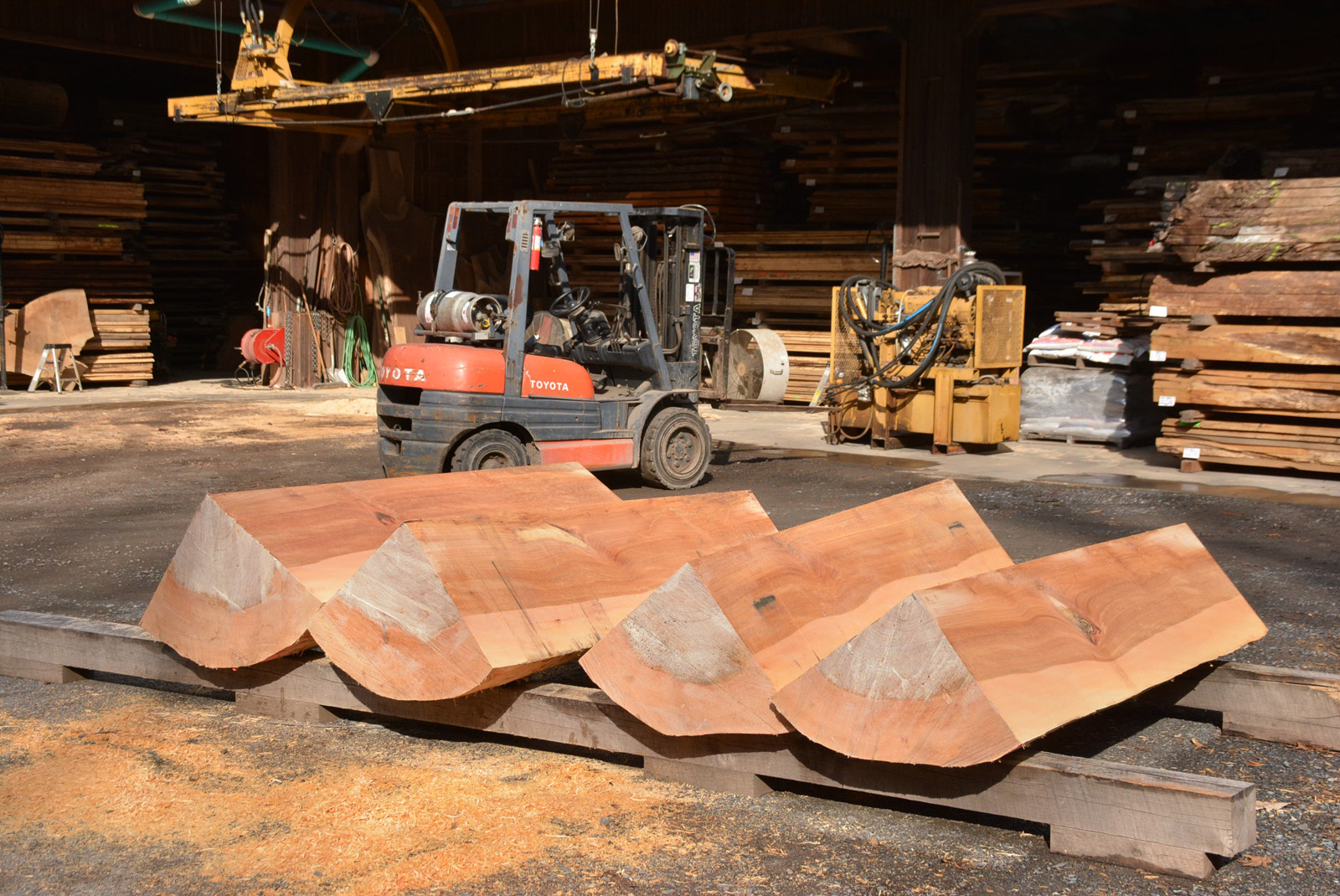 American Sycamore | Talarico Hardwoods